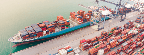 Load Port Survey Report Services - AHK